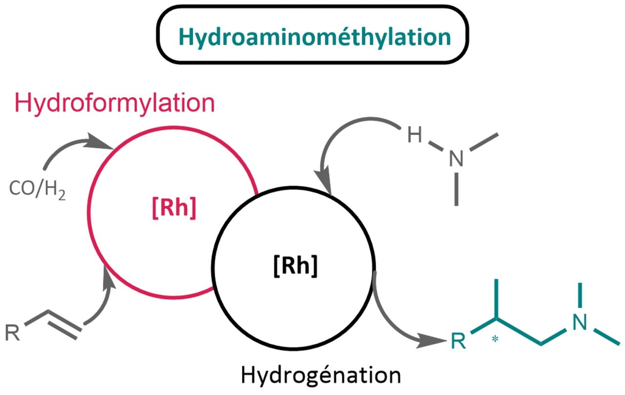 Catalyseurs homogènes pour la chimie fine et l’énergie - LCC CNRS Toulouse