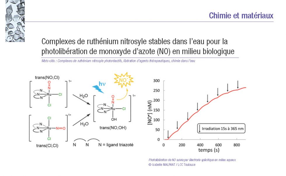 Fait marquant 2021 Equipe R - LCC CNRS Toulouse